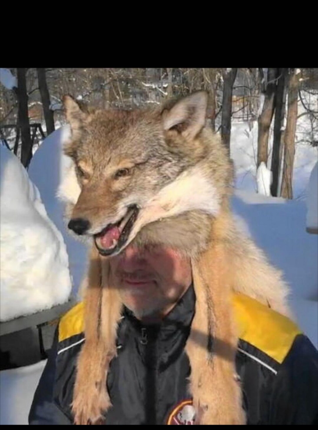 Coyote Mountain Man Fur Hat * Complete With All 4 Legs, Paws and Claws ...