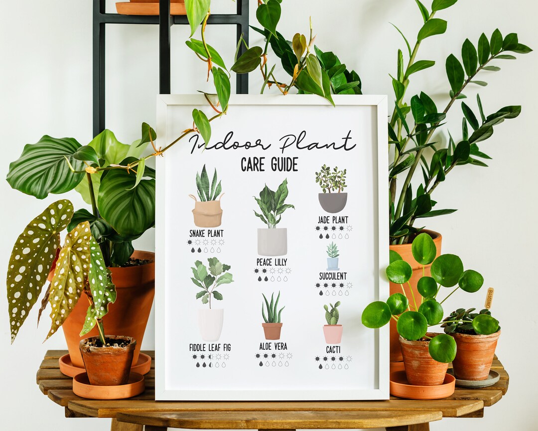 Indoor Plant Care Guide Printable Indoor Plant Wall Art - Etsy