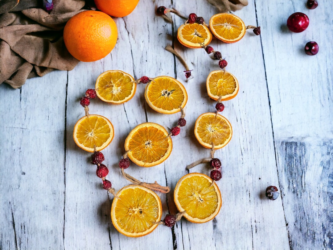 Holiday Garland of Dried Orange Slices and Cranberries - Etsy
