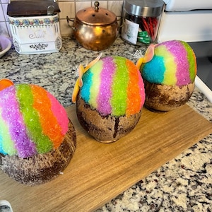 Tropical Shaved Ice Cups - Etsy
