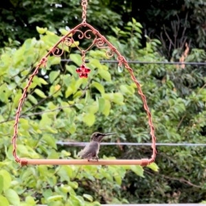 Handcrafted Copper Hummingbird Swing With Crystal Accents - Etsy