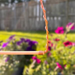 Hummingbird Swing, Hummingbird Perch Near Feeder, Copper Hummingbird ...