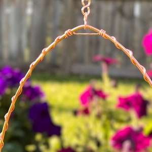 Hummingbird Swing, Hummingbird Perch Near Feeder, Copper Hummingbird ...