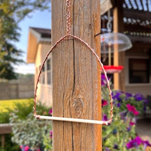 Hummingbird Swing, Hummingbird Perch Near Feeder, Copper Hummingbird ...