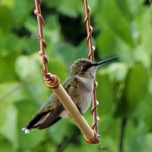 Handcrafted Copper Hummingbird Swing With Crystal Accents - Etsy