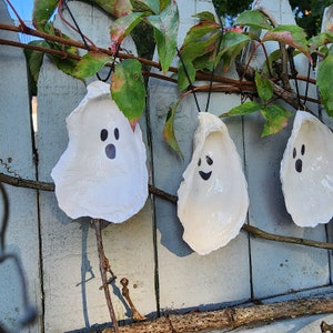 Set of 3 Halloween Shell Ornament Ghost Displayed Inside Cape Cod ...