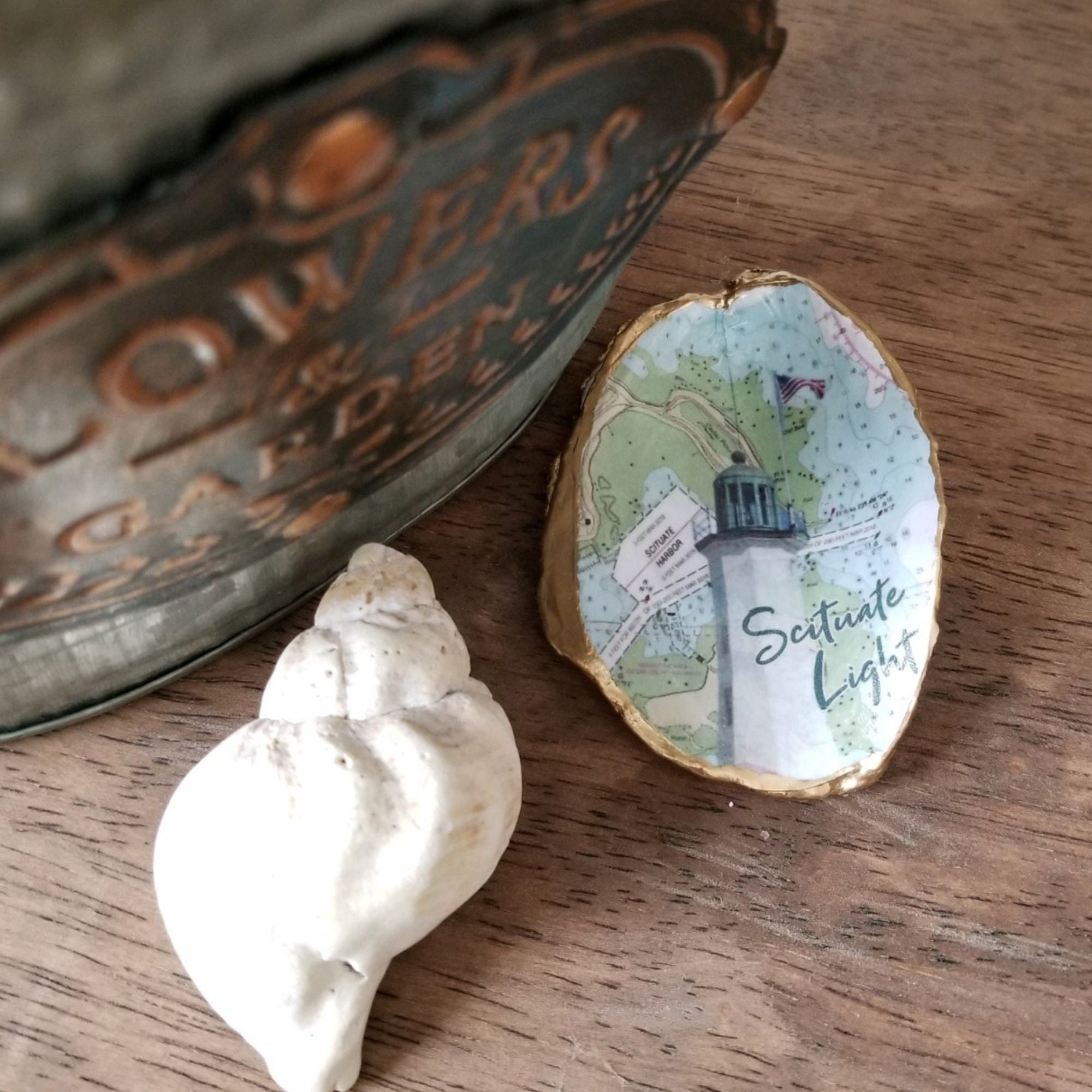 Scituate Light Oyster Shell 143 Lighthouse Cape Cod Bay - Etsy.de