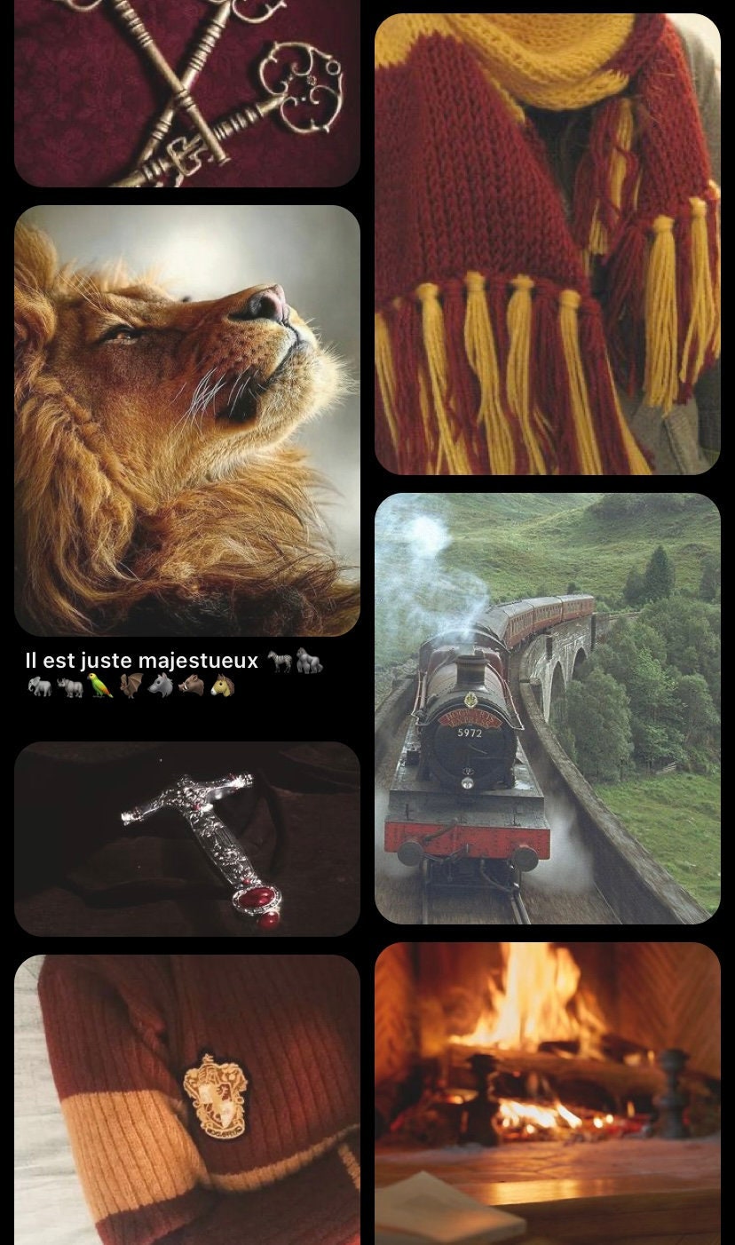 Gryffindor Harry Potter Wall Photo Collage - Etsy