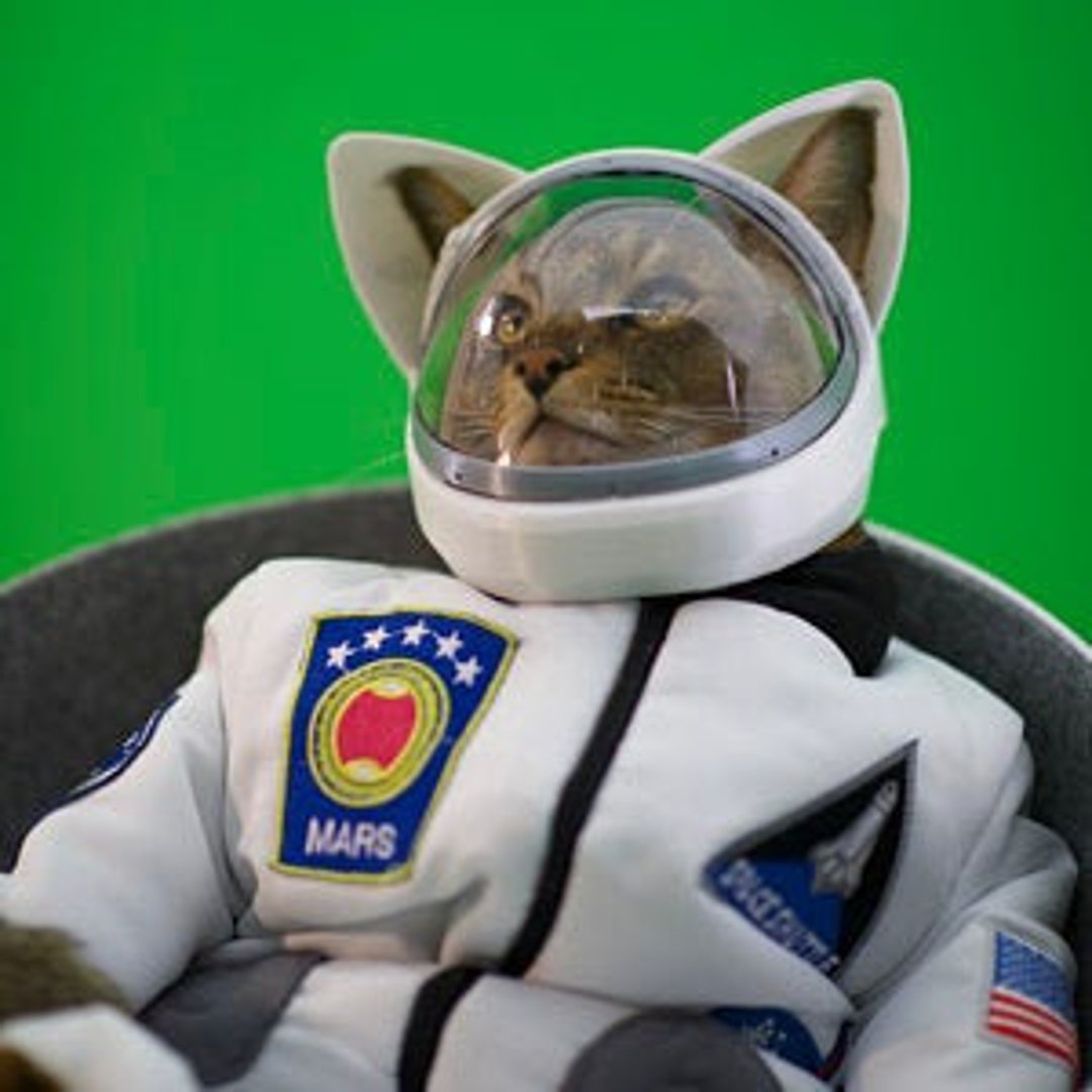 Custom 3d Work Cosplay Human or Kitty - Etsy