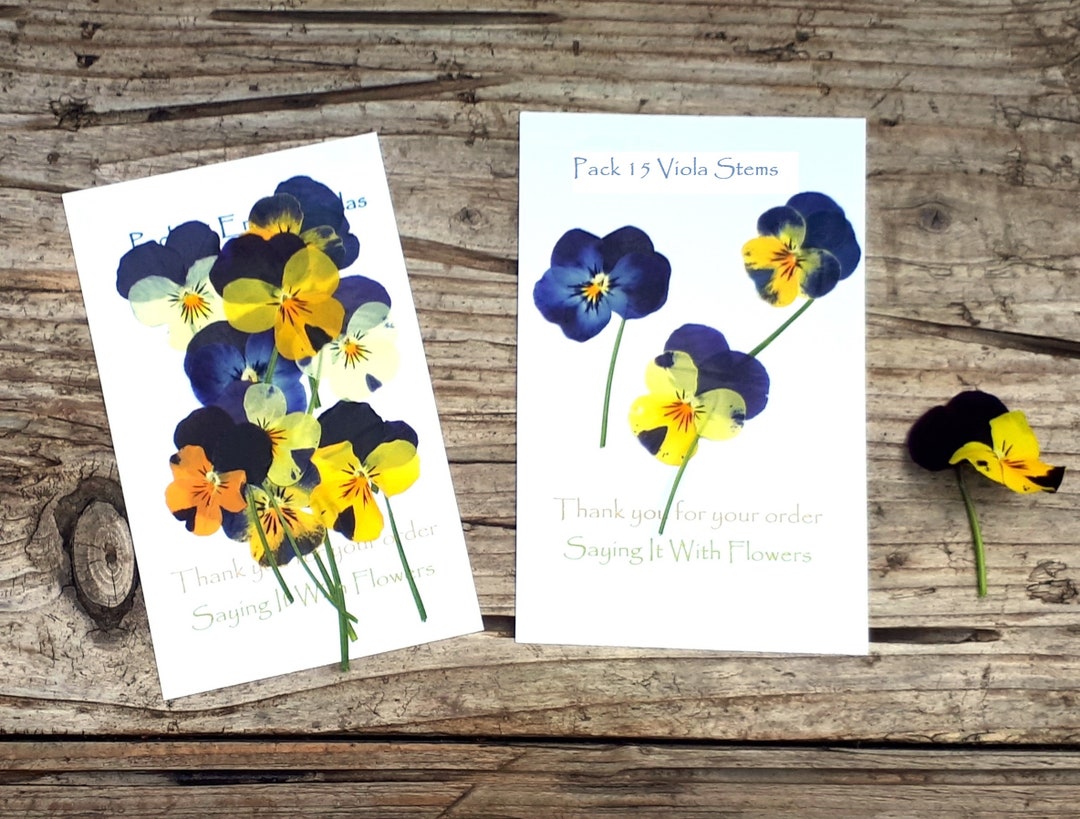 Dried Viola Stems, Pack 15 Mixed Violas, Pressed Violas, Cake ...