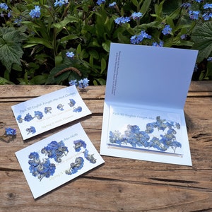 Forget Me Nots, Pack 30 Pressed Forget-me-not Clusters, Resin Supplies ...