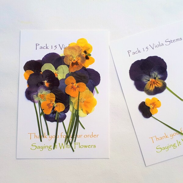 Violas - Etsy