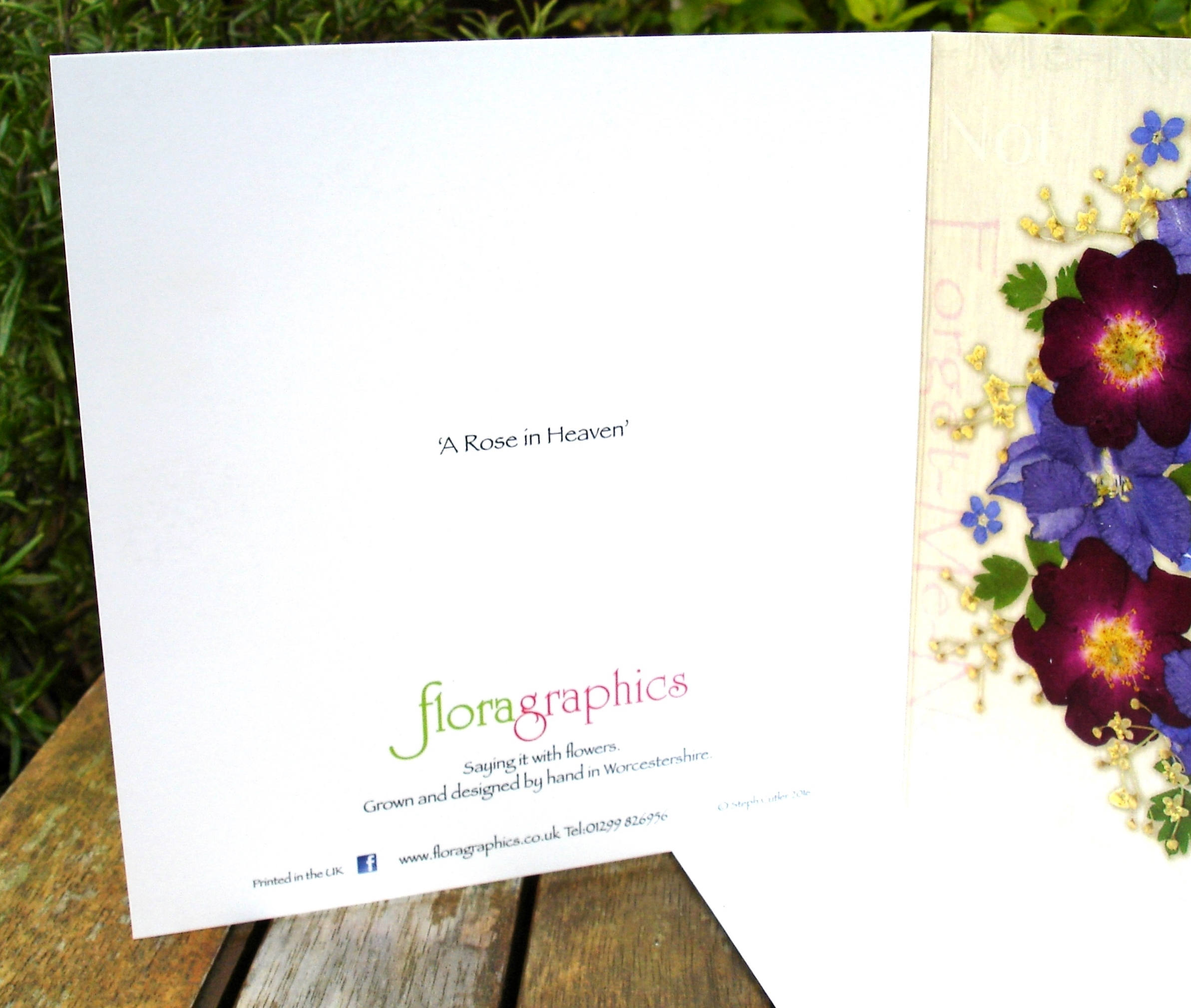 Flora Graphics — Nan Sympathy Card, Pressed Flower PRINT