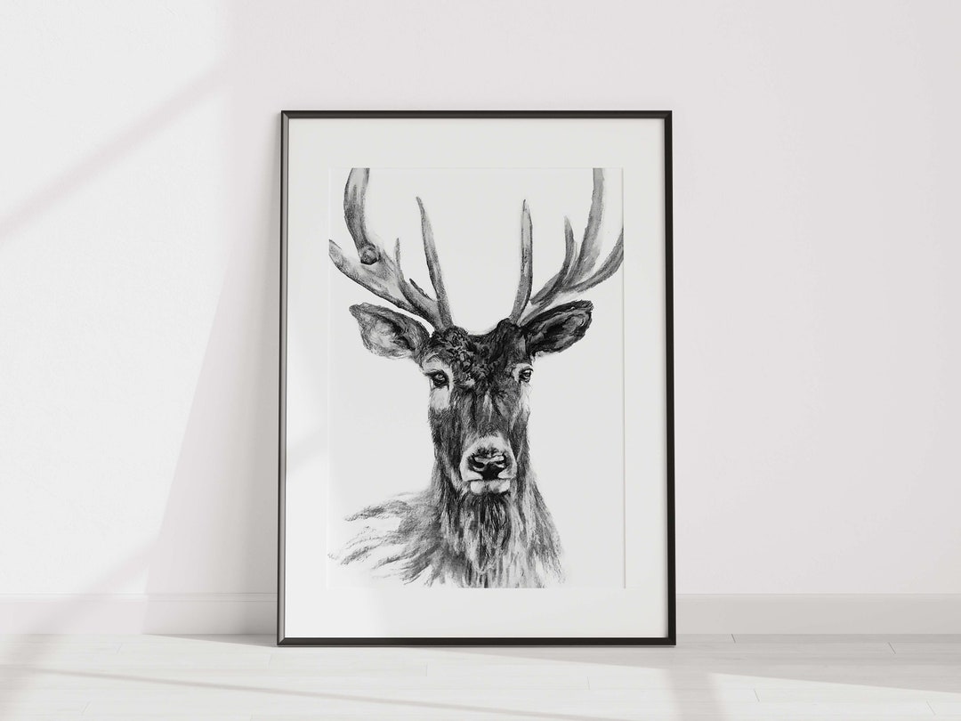Debby the Deer Charcoal Drawing Animal Totem Gift Print Poster ...