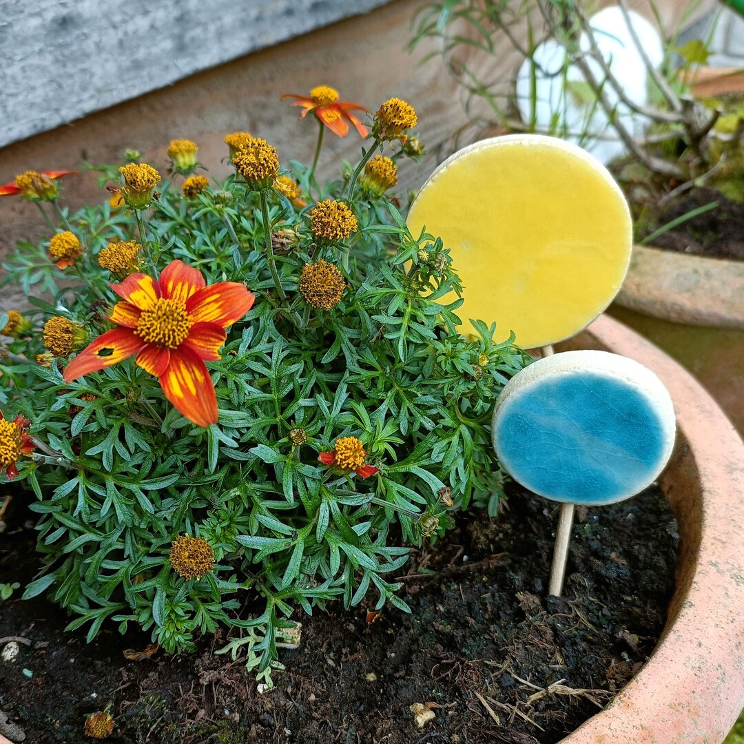 Ceramic Garden Stakes, Plant Stakes, Duo - Etsy
