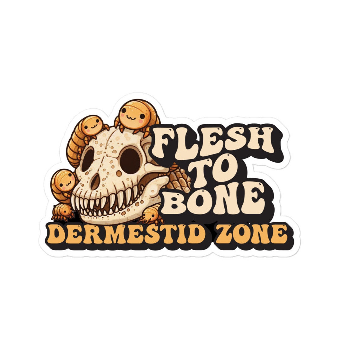Dermestid Beetle Flesh to Bone - Bubble-free Stickers - Etsy