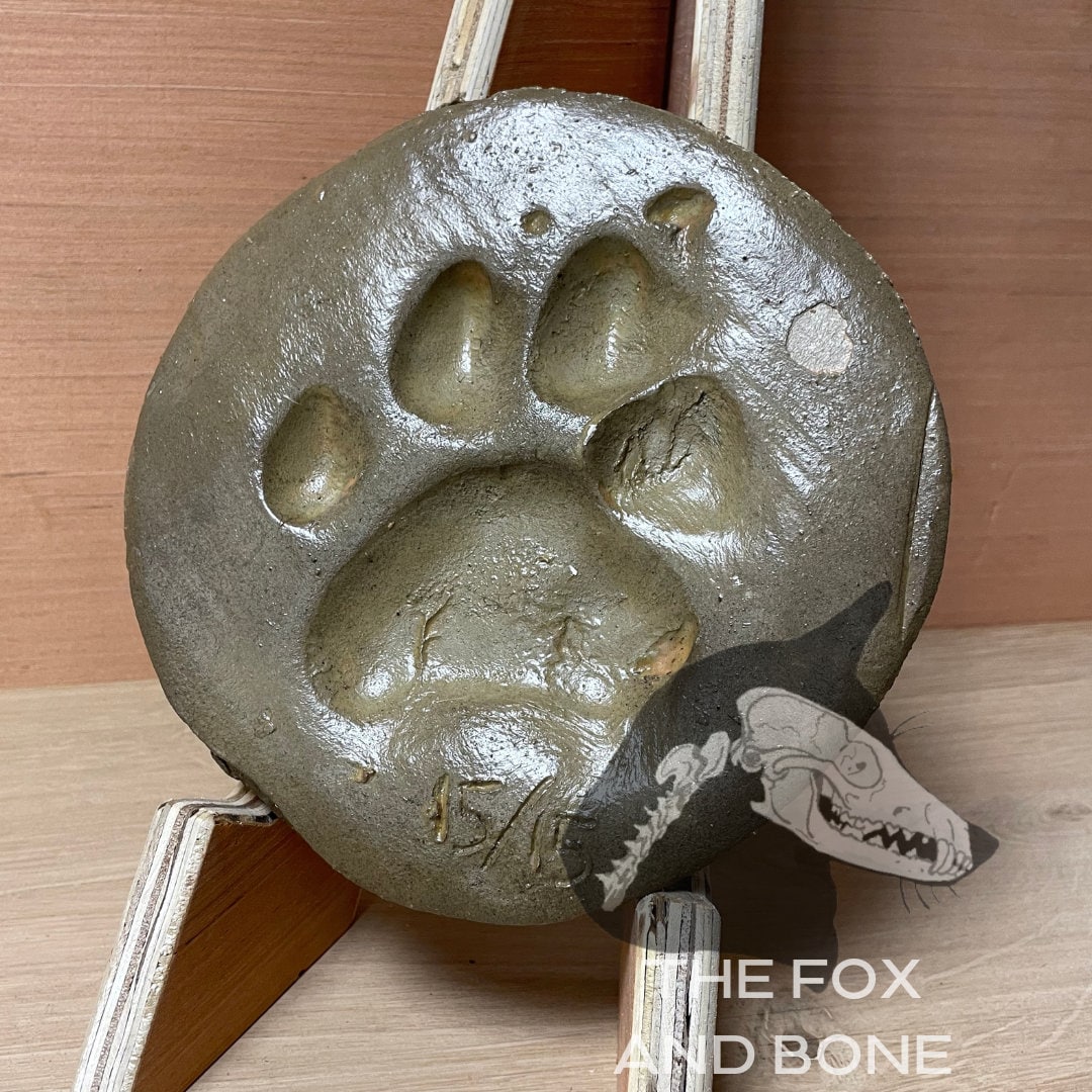 Authentic Bengal Tiger Paw Print - Limited Edition Collectible - Etsy UK