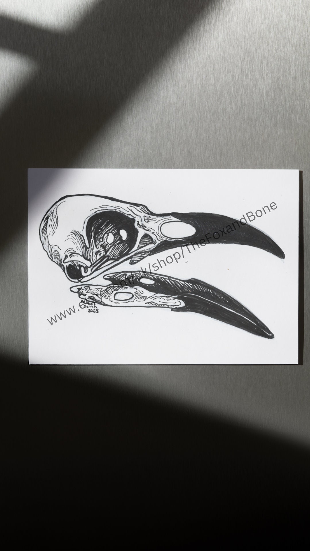 Crow Skull Drawing A3 Print - Etsy