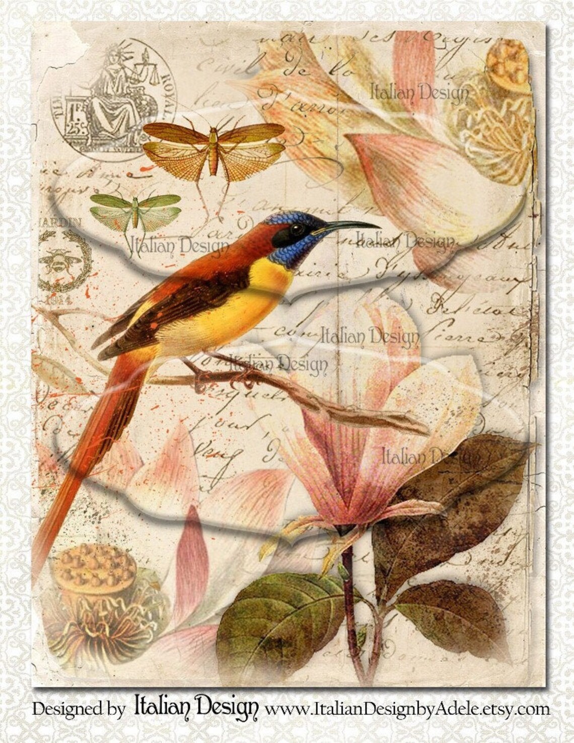 Bird Scrapbook Paper Large Image Decoupage Paper Vintage - Etsy