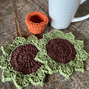 Succulent Coaster Set of 2, Cactus Coasters in a Pot, Leaf Coasters ...