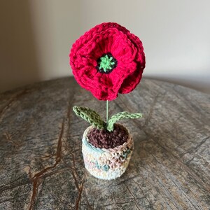 Mini Poppy in a Pot, Crochet Poppy, Crocheted Poppy and Vase, Crochet ...