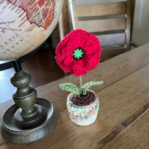 Mini Poppy in a Pot, Crochet Poppy, Crocheted Poppy and Vase, Crochet ...