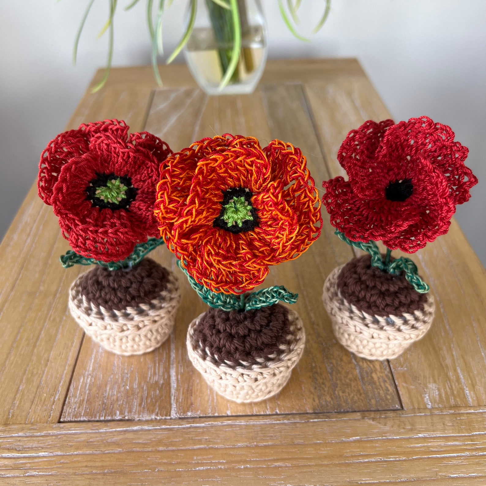 Mini Poppy in a Pot Crochet Poppy Crocheted Poppy and Vase - Etsy