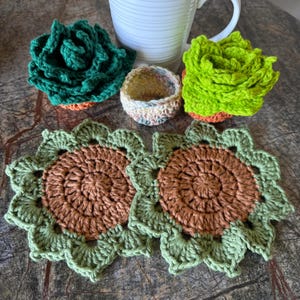 Succulent Coaster Set of 2, Cactus Coasters in a Pot, Leaf Coasters ...