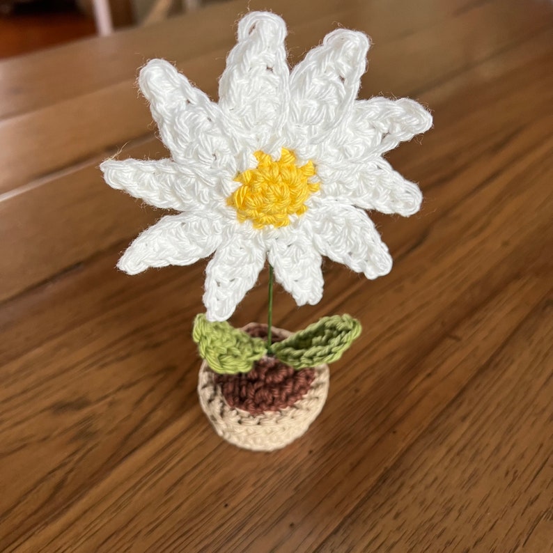 Mini Daisy & Pot Crochet Amigurumi Daisy Crocheted Daisy and | Etsy