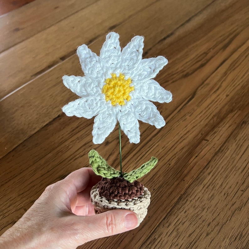 Mini Daisy & Pot Crochet Amigurumi Daisy Crocheted Daisy and | Etsy