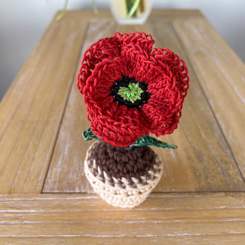 Mini Poppy in a Pot Crochet Poppy Crocheted Poppy and Vase - Etsy