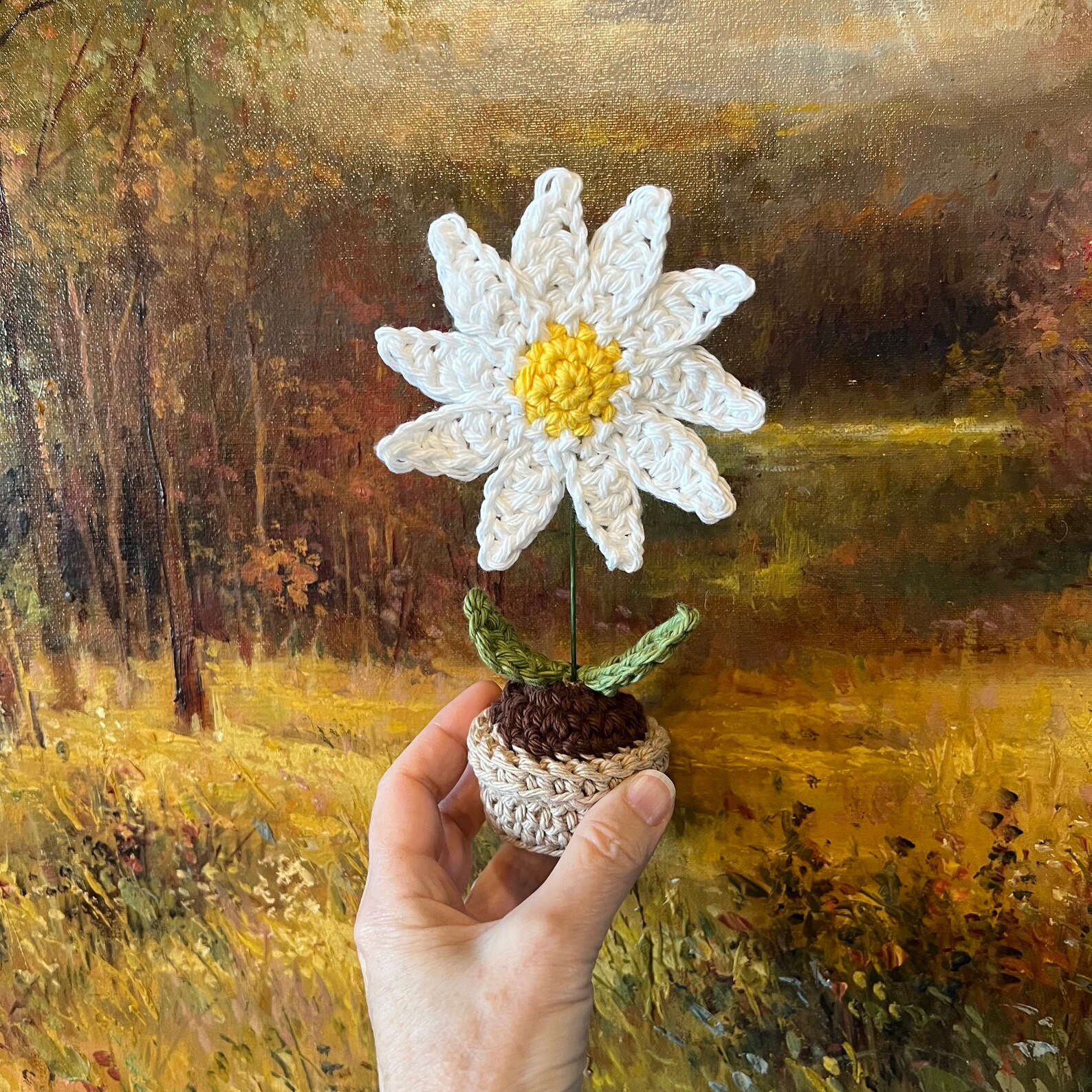 Mini Daisy & Pot Crochet Amigurumi Daisy Crocheted Daisy and | Etsy
