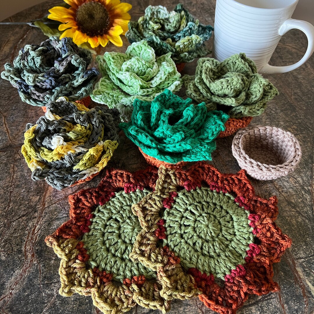 Succulent Coaster Set of 2, Cactus Coasters in a Pot, Leaf Coasters ...