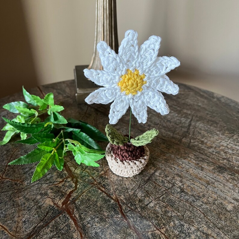 Mini Daisy & Pot Crochet Amigurumi Daisy Crocheted Daisy and | Etsy