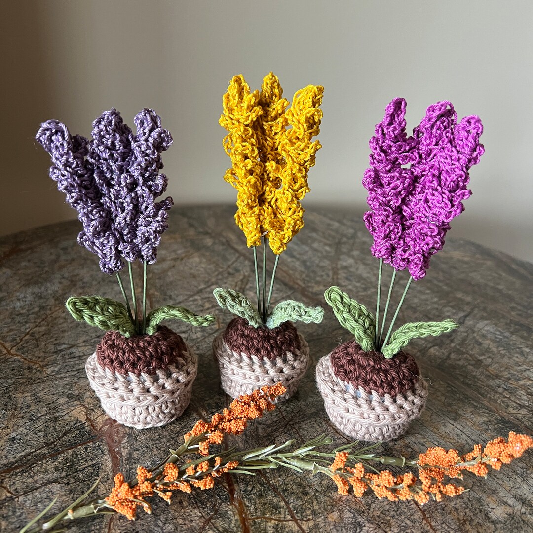 Mini Lavender Trio Pot Goldenrod in a Pot Mini Flowers in a - Etsy
