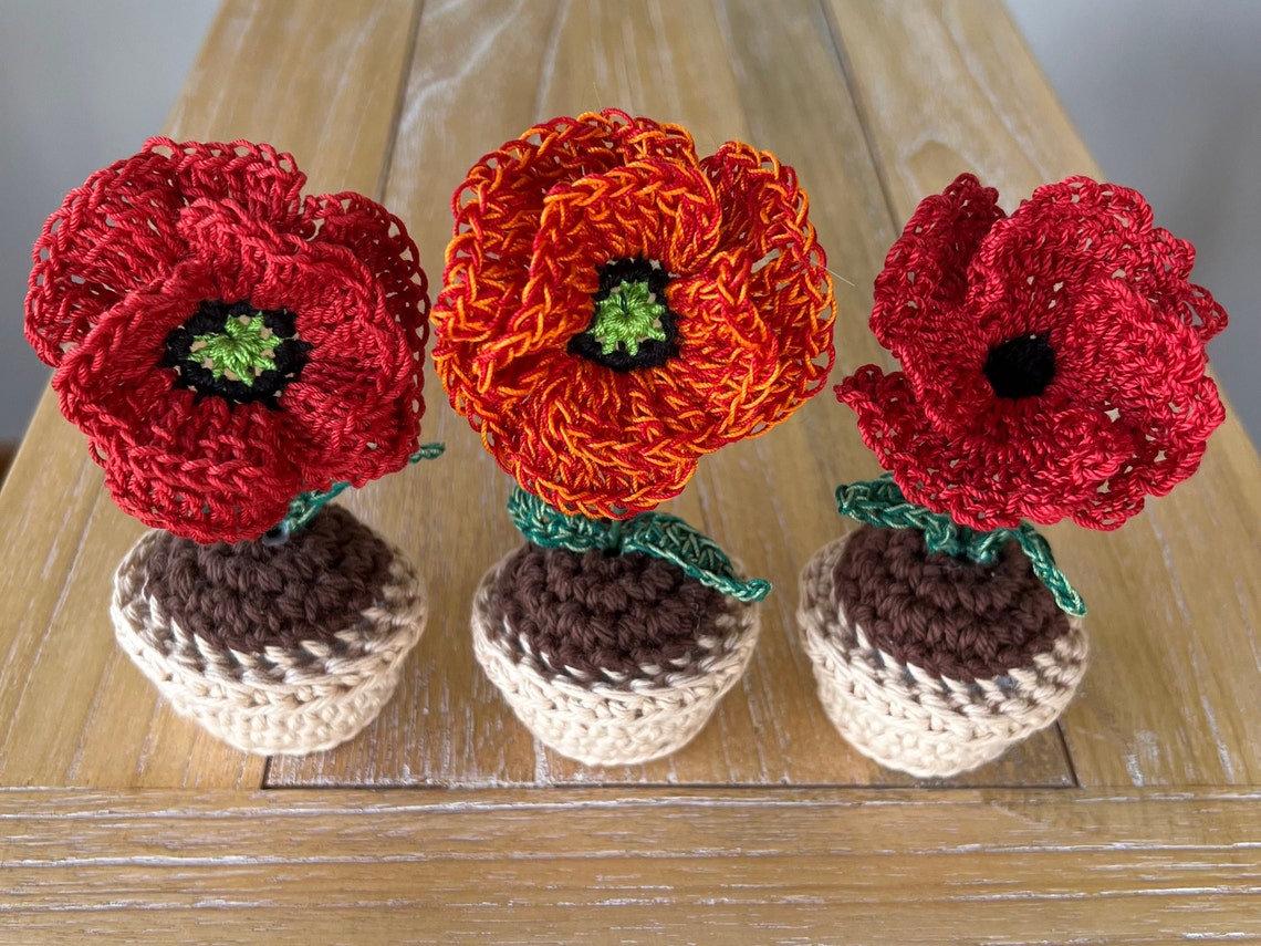 Mini Poppy in a Pot Crochet Poppy Crocheted Poppy and Vase - Etsy