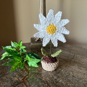 Mini Daisy & Pot Crochet Amigurumi Daisy Crocheted Daisy and - Etsy