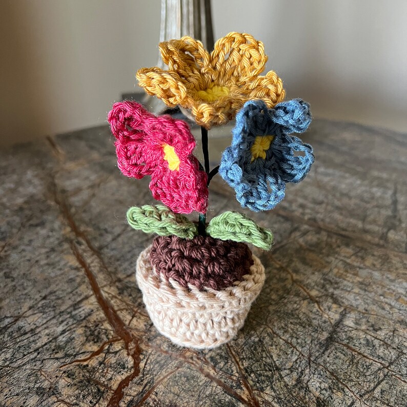 Mini Forget-me-not Flower in a Pot Mini Flower Trio Mini - Etsy