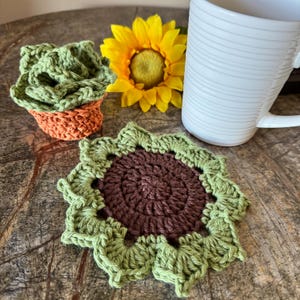 Succulent Coaster Set of 2, Cactus Coasters in a Pot, Leaf Coasters ...