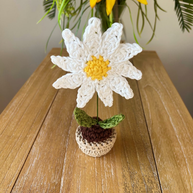 Mini Daisy & Pot Crochet Amigurumi Daisy Crocheted Daisy and | Etsy
