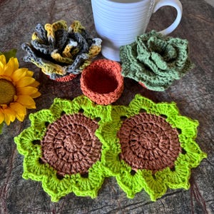 Succulent Coaster Set of 2, Cactus Coasters in a Pot, Leaf Coasters ...