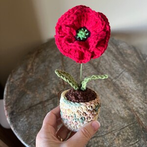 Mini Poppy in a Pot, Crochet Poppy, Crocheted Poppy and Vase, Crochet ...