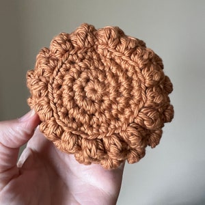 Succulent Coaster Set of 2 With Bobble Pot Cactus Coasters in - Etsy