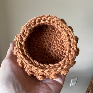 Succulent Coaster Set of 2 With Bobble Pot Cactus Coasters in - Etsy