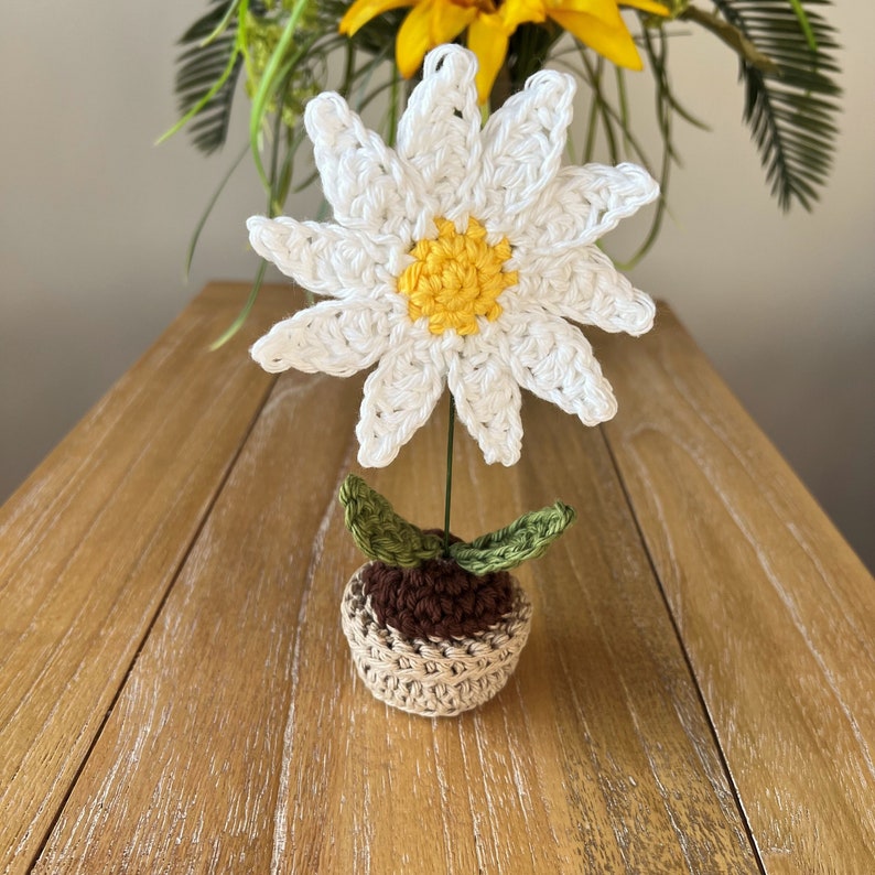 Mini Daisy & Pot Crochet Amigurumi Daisy Crocheted Daisy and | Etsy