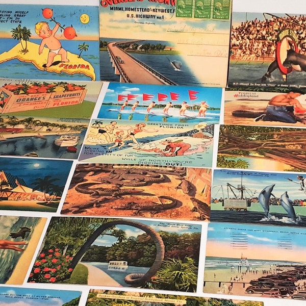 Florida Postcard - Etsy