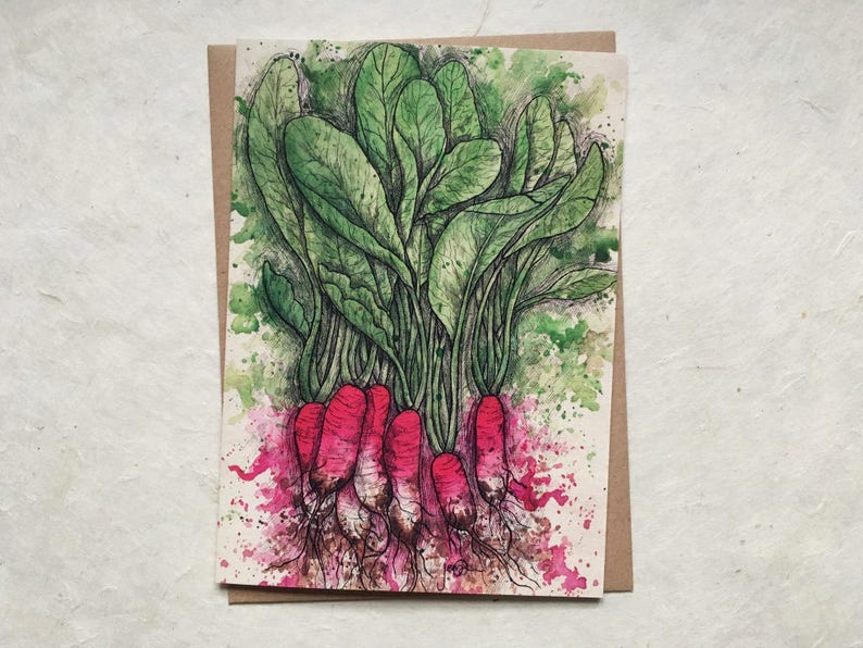 Vegetable Greetings Card Pack - Etsy UK