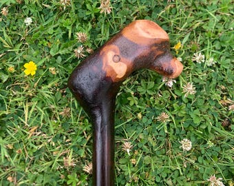 Irish Blackthorn Walking Stick | Cane Irish | Wood Hiking Cane ...