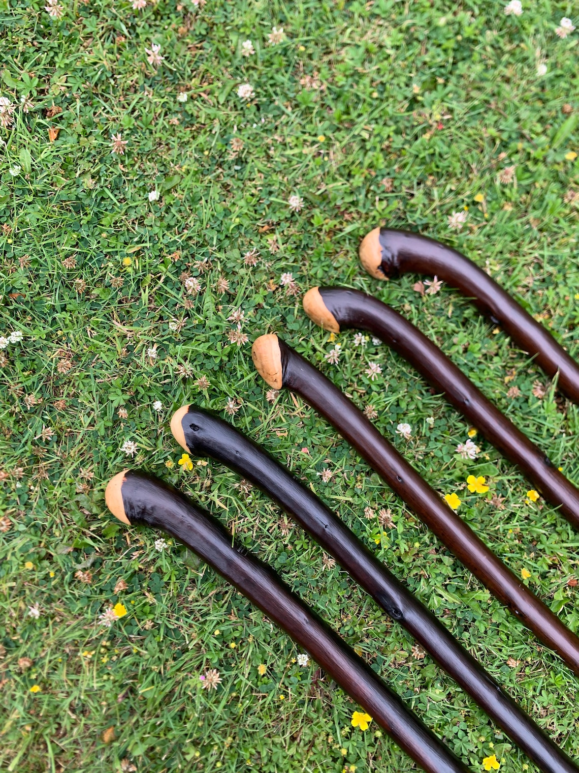 Chestnut Walking Stick | Cane | Wood Hiking Cane | Natural Handmade ...