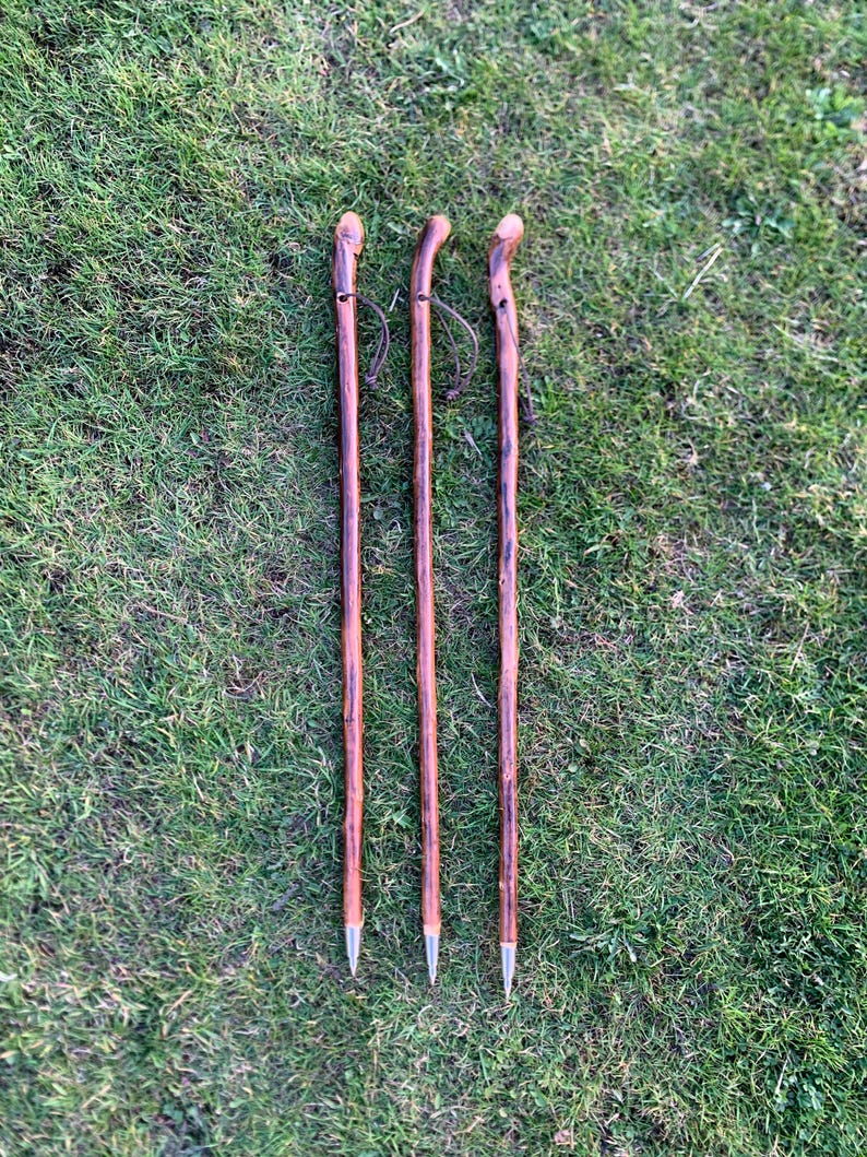 Chestnut Walking Stick | Cane | Wood Hiking Cane | Natural Handmade ...